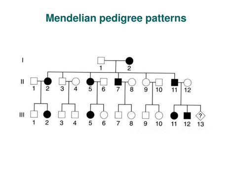 Ppt Lesson 2 Monogenic Disorders Mendelian Inheritance Powerpoint Presentation Id3906337