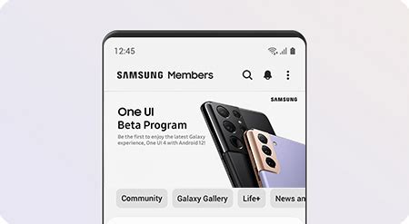 One UI Beta Samsung Developers