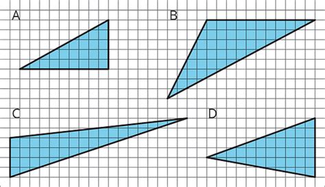Bases And Heights Of Triangles
