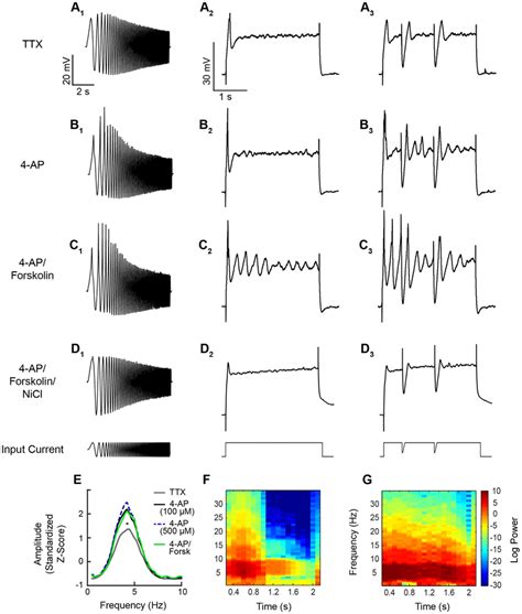 Bla Principal Neurons Exhibited A Modifiable Intrinsic Resonance And A Download Scientific