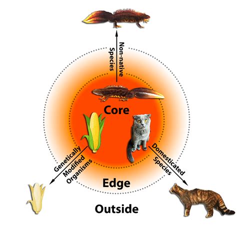 A Warning Call On Genetic Pollution Wielstra Lab