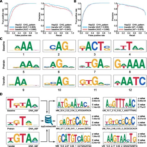 genome biology idna abf 基于多尺度深度学习的生物序列与功能语义模型实现dna甲基化可解释性预测 腾讯云开发者社区 腾讯云