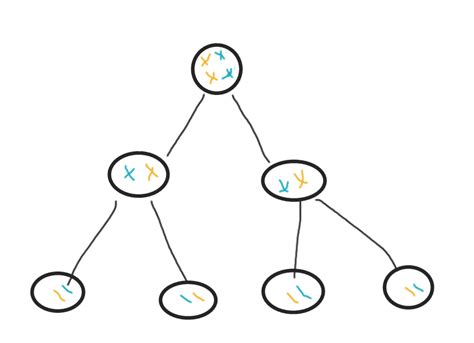 Unit 7 Review 9th 12th Grade Quiz Wayground