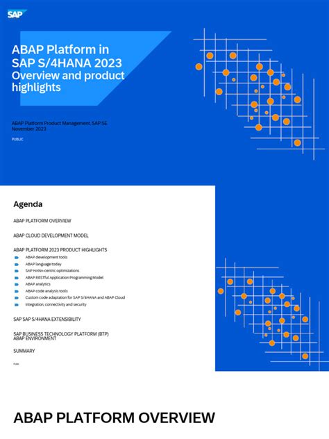 abap platform in sap 2023 pdf databases software