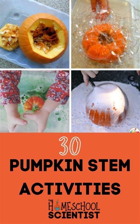 30 Engaging Pumpkin Stem Activities Artofit