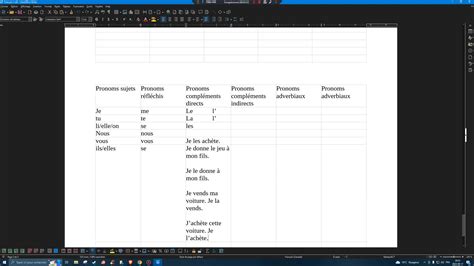 French 19 Direct Complement Pronouns