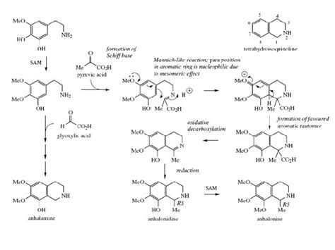 Biosynthesis Some Alkaloids Piperine Indole Isolasi And Identifikasi