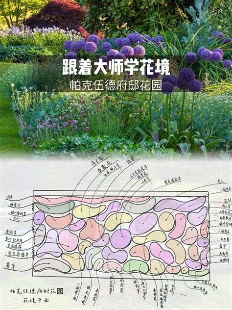 跟着大师学花境｜帕克伍德府邸花园混合花境 花瓣网
