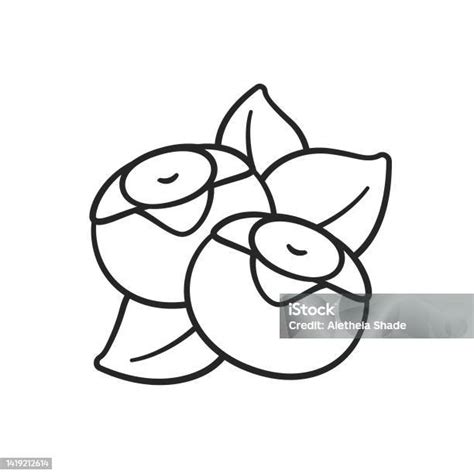 잎이있는 블루 베리 개요 벡터 클립 아트 만화 일러스트레이션 아이들을위한 간단한 쉬운 색칠 공부 책 페이지 활동 워크 시트 0명에 대한 스톡 벡터 아트 및 기타 이미지