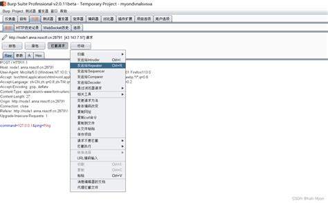 Nss Litctf Web 部分wp怎么使用nssctf浏览器 Csdn博客
