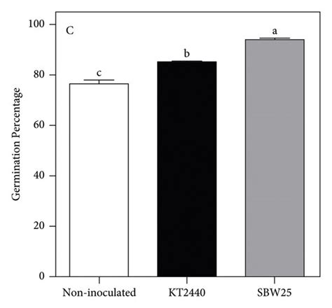 Effect Of Pgpr Inoculation On Barley Seed Germination Bars Are