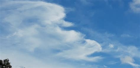 Cogito Ergo Sum I Think Therefore I Am René Descartes French