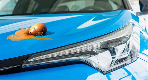 Someone Egged My Car Now What Motor Snitch