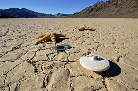 Hiring Jobmarket Elevatorpitch Meaghan Spiller