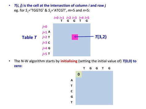 The Needleman Wunsch Algorithm Ppt