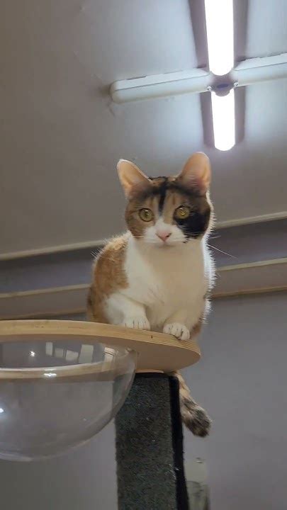 거기서 나와 원터를 볼 수 없어🤣😅 Youtube