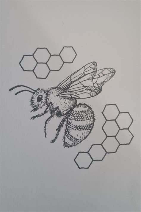 Honeycomb Drawings