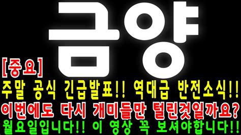 금양 중요 주말 공식 긴급발표 역대급 반전소식이번에도 다시 개미들만 털린것일까요월요일입니다 이 영상 꼭