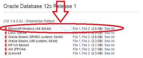 Oracle 12c Installation