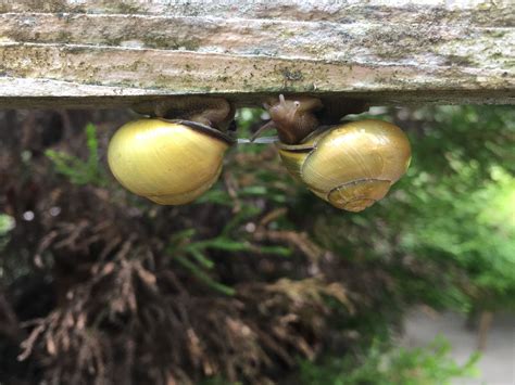 Moment Of Slow · Be With Cassandra