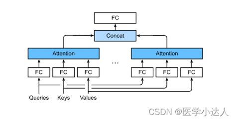 Python 基于pytorch实现多头自注意力机制代码；multiheads Self Attention代码实现多头注意力机制pytorch Csdn博客