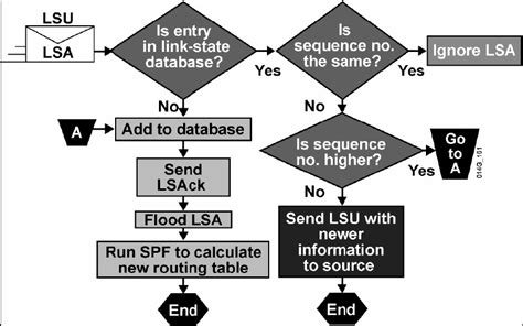 Routing Protocols OSPF LSA And Packet Format