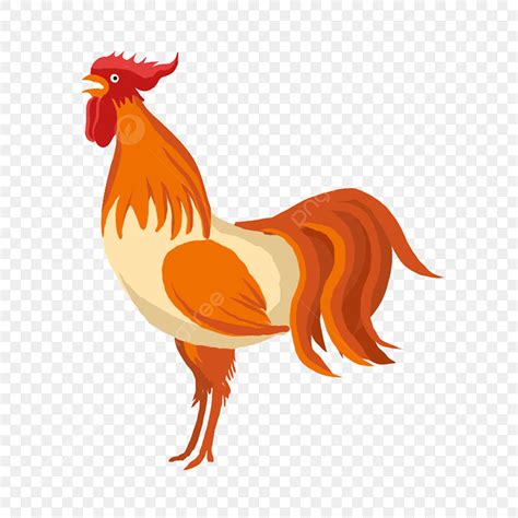 Big Cock White Transparent Big Cock Cartoon Transparent Material Big Cock Illustration