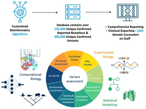 Validated Assays For Pharma Research Ambry Genetics