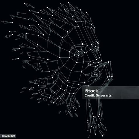 벡터 라인 메쉬 차원 낮은 폴 리 여성 초상화 조각으로 깨진 인간의 머리의 그래픽 그림 골절 및 다른 입자를 사용 하 여 만든 3d 철거 와이어 프레임 개체입니다 3차원