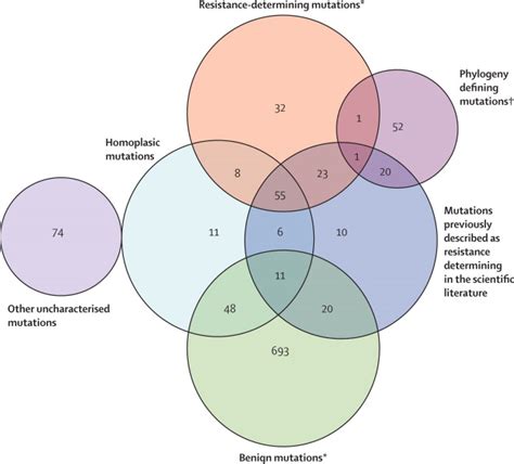 Training Set Characterised Mutations Download Scientific Diagram