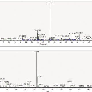 TIC Chromatogram Of The Essential Oil Obtained From Herbs Of P Download Scientific Diagram