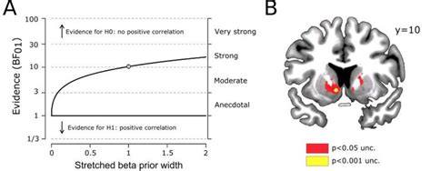 Control And Exploratory Analyses A Robustness Check For The Bayesian