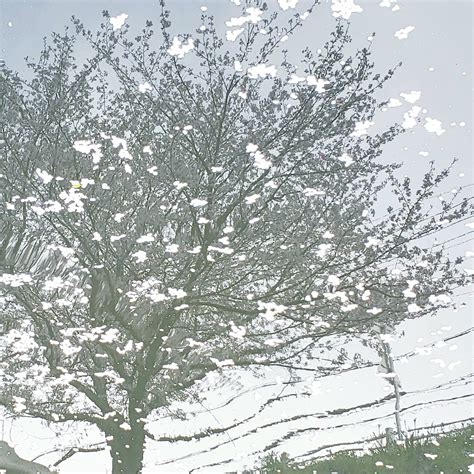 【news】 Sca M 002 Yurei Landscape 倒景速度 415tue 0000 Release
