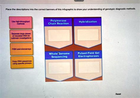 Place The Descriptions Into The Correct Banners Of This Infographic To Show Your Understanding
