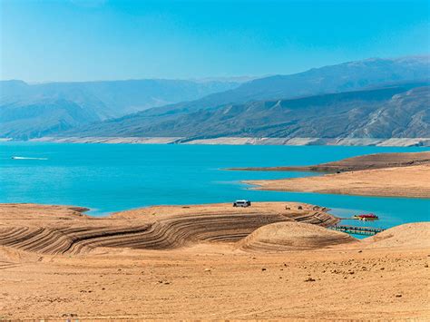 Какое самое длинное слово в русском и других языках
