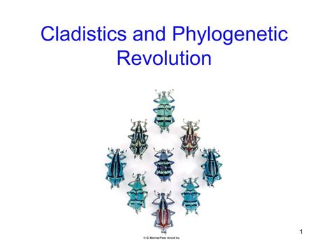 Cladistics In Taxonomy Ggggggggddccc 12367 Ppt Ppt