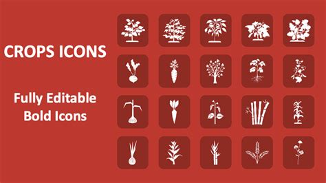 Crops Icons For PowerPoint And Google Slides PPT Slides