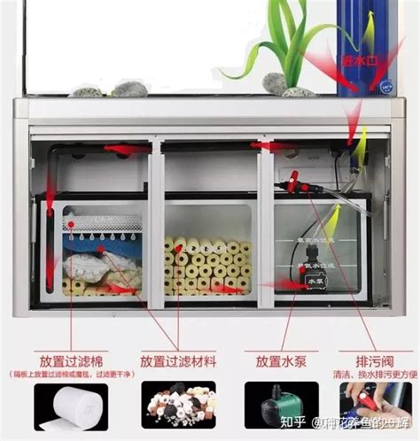 哪种鱼缸过滤器最好用？ 知乎