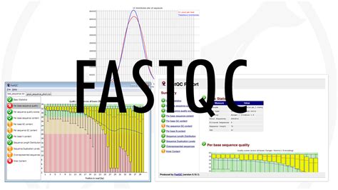 quality check processing and alignment of sequencing reads r tutorial