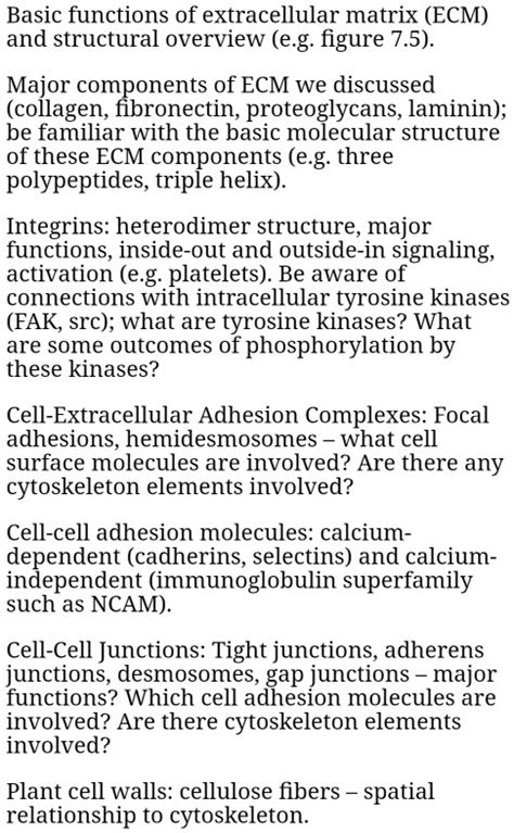Solved Basic Functions Of Extracellular Matrix Ecm And Structural