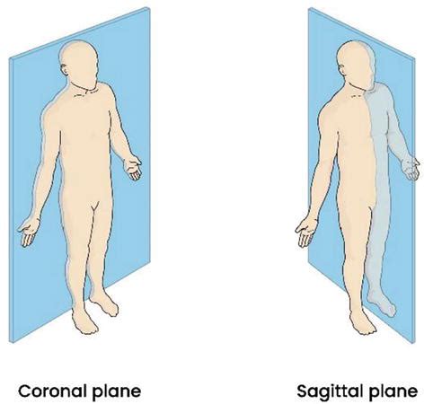 A Robotics Based Machine Learning Approach For Fall Detection Of People IntechOpen