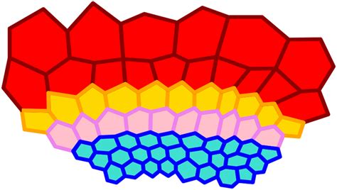 A Mesh With Cells Labeled For Local Time‐stepping Red Cells Are Download Scientific Diagram