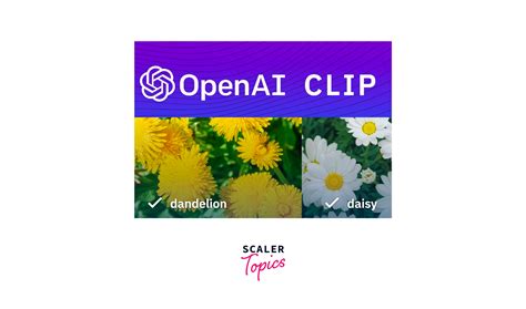 OpenAI Models Scaler Topics