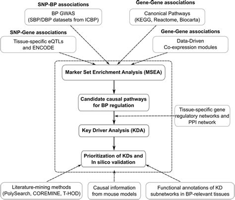 the integrative genomics framework for identifying genetically