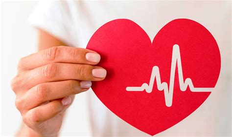 Conheça Os Principais Tipos E Sintomas De Doenças Cardiovasculares