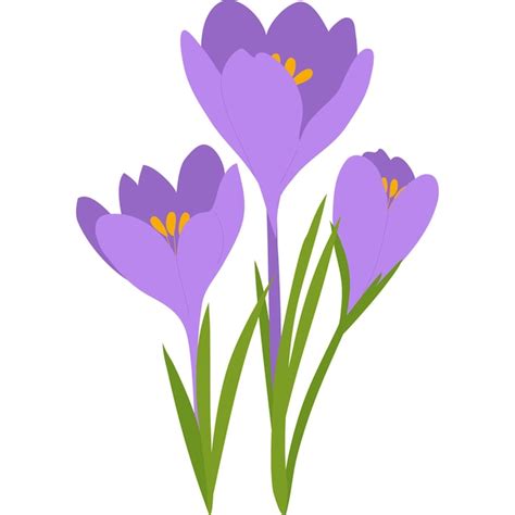 Premium Ai Image Crocus Winter Flowers