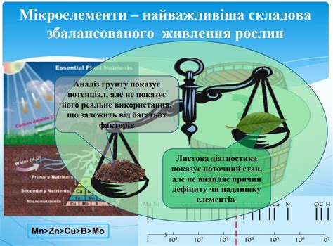 Виноград система живлення від «Агровіо Україна Агровіо Україна