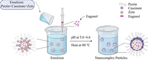 Formation Of Nano Complex Particles Using Zeincaseinpectin System