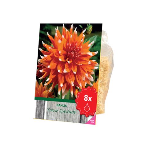 Grocery Store Low Prices Lidl US