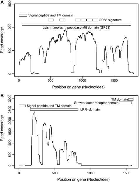 Density Of Read Coverage For Genes Present In High Copy Number In L Download Scientific